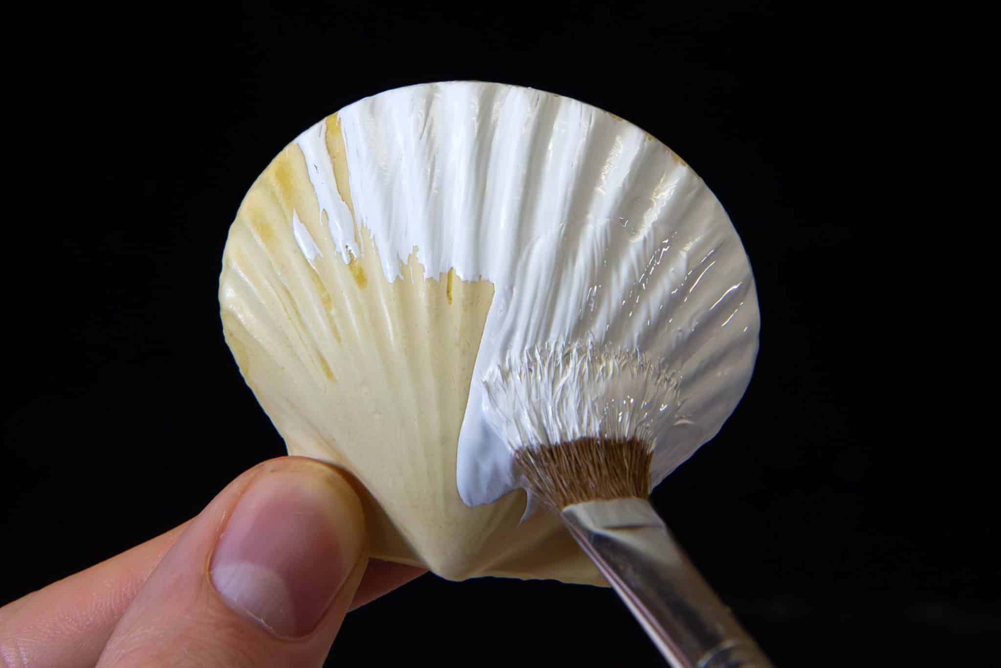 Painting Over Durham's Water Putty - Durham's Rock Hard Water Putty